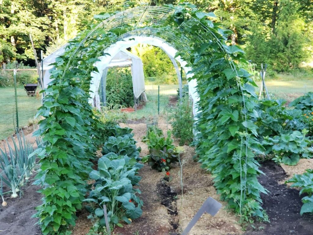 Planting a Great Depression Era Garden - Homestead Living