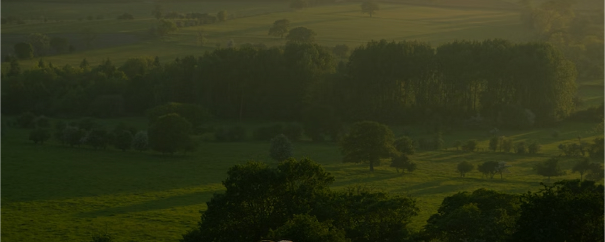 The Best Homesteading Shows on Television - Homestead Living