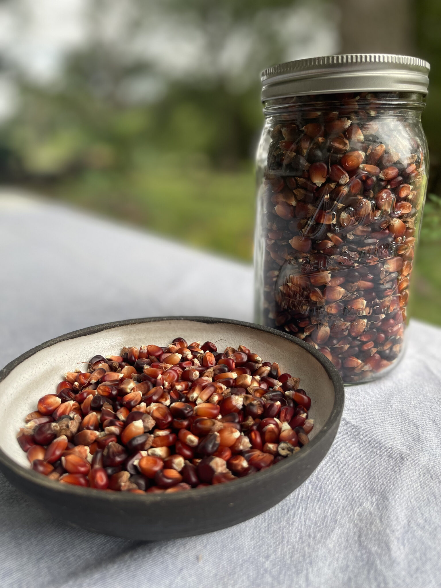 Growing Corn - Homestead Living