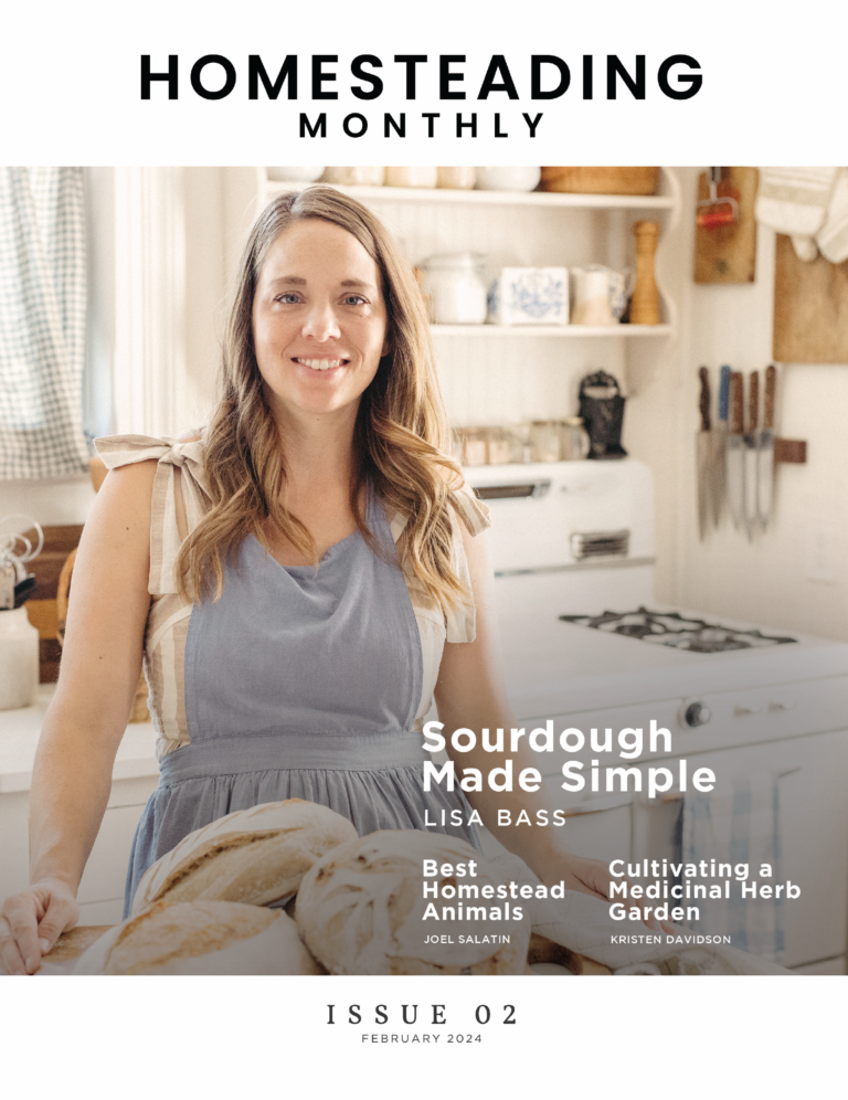 Issue 02: Homesteading Monthly – February 2024 - Homestead Living