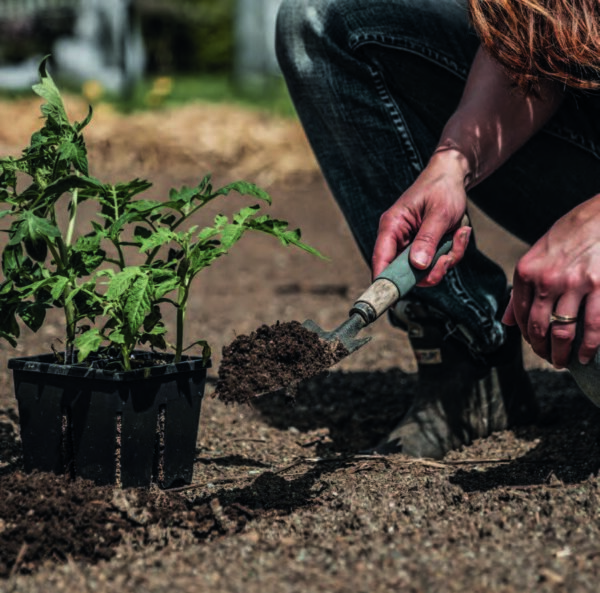 For the Love of Soil - Homestead Living