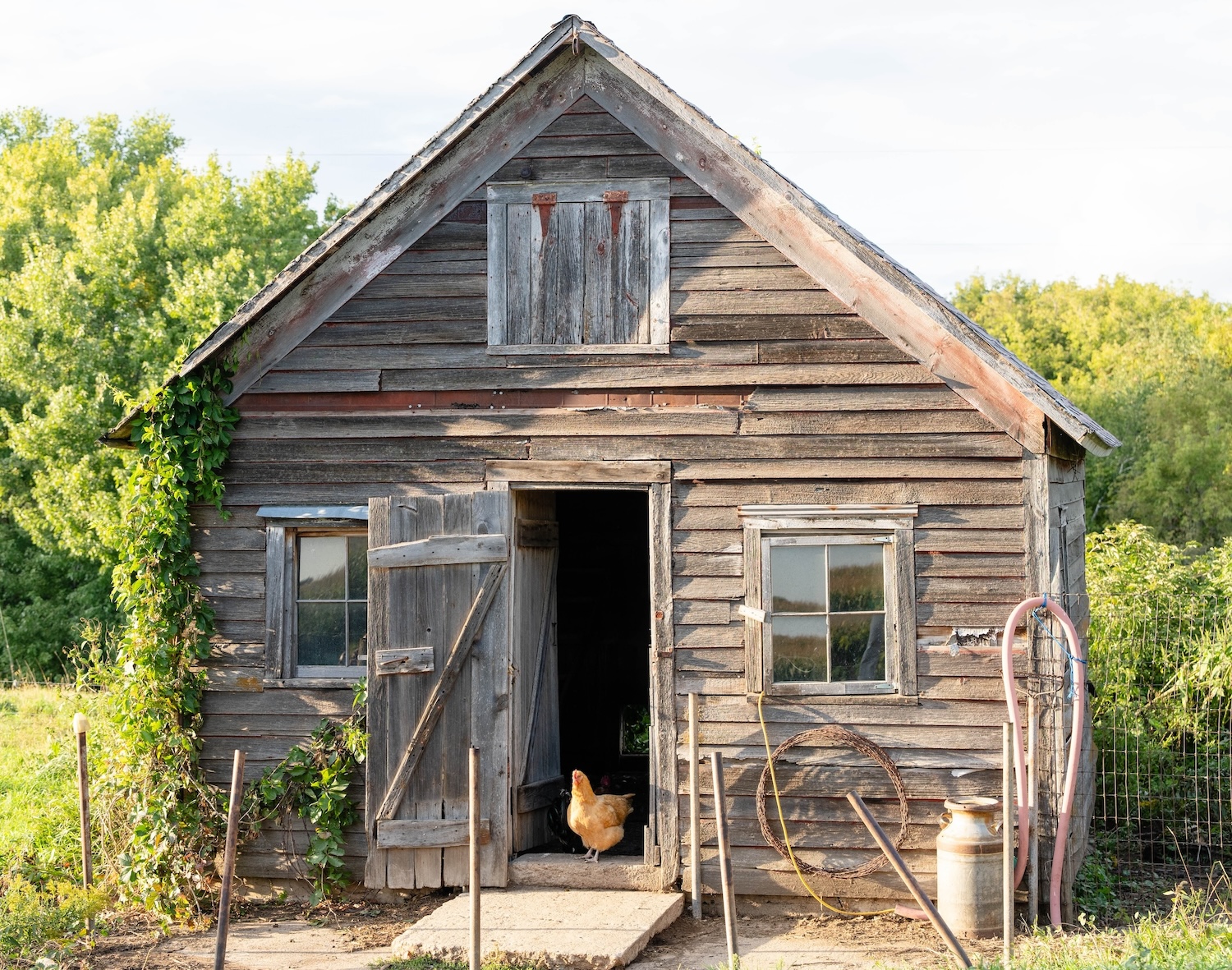 Login - Homestead Living