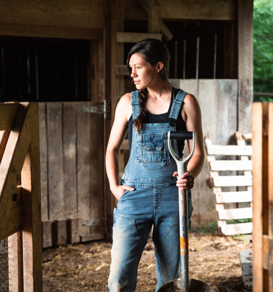 Tackle Any Project — With Anne of All Trades - Homestead Living