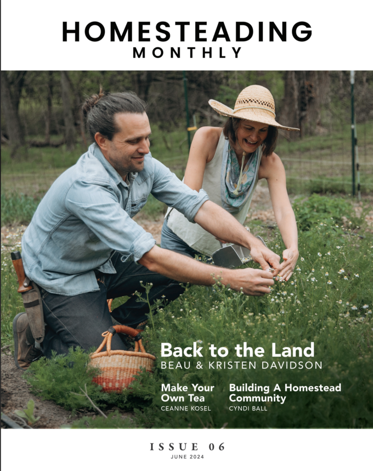 Issue 06: Homesteading Monthly — June 2024 - Homestead Living