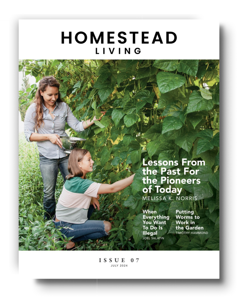Homesteading Monthly: July 2024 - Homestead Living