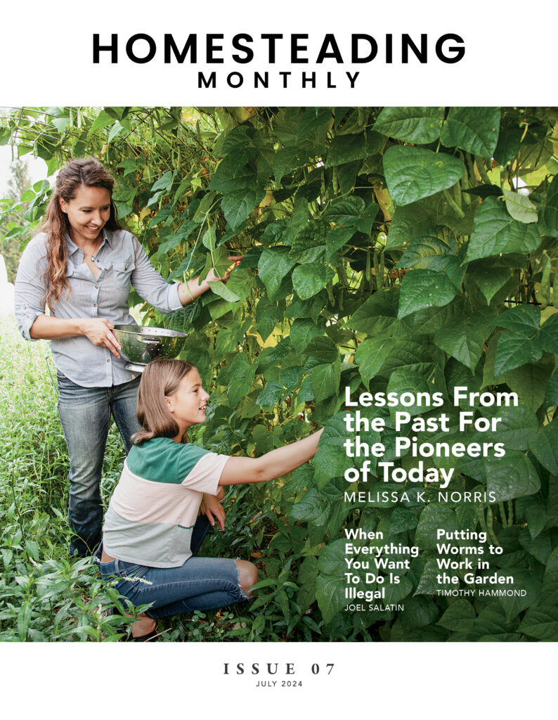 Magazines - Homestead Living