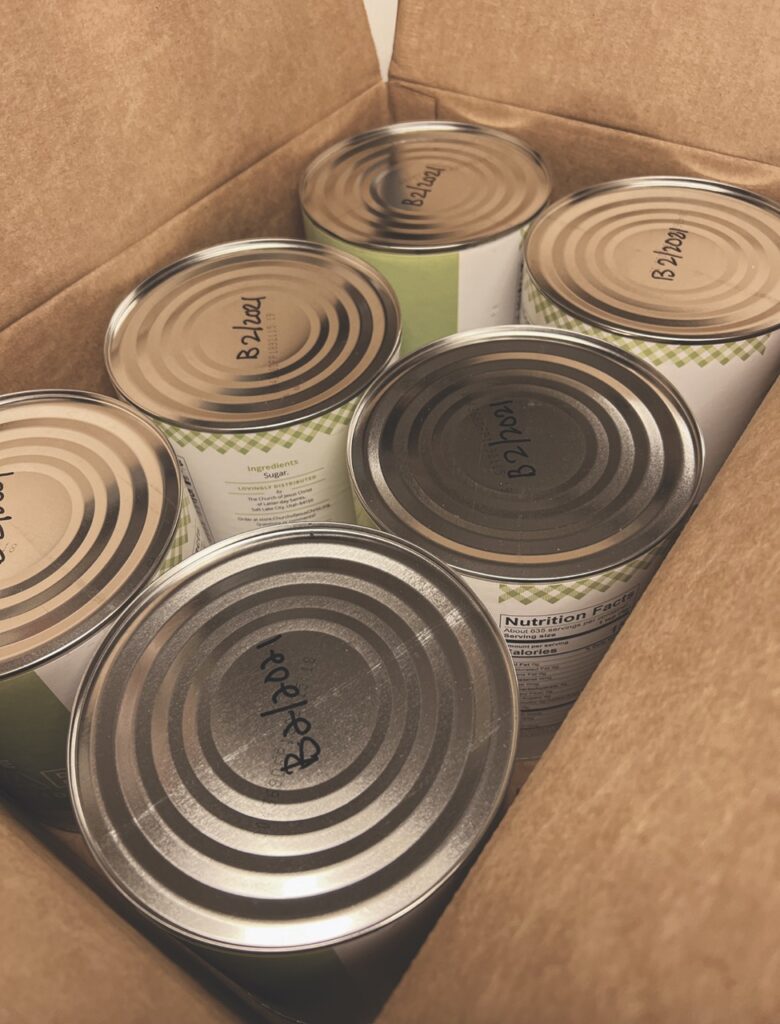 Beginner’s Guide to Layered Food Storage for Prepping & Homesteads