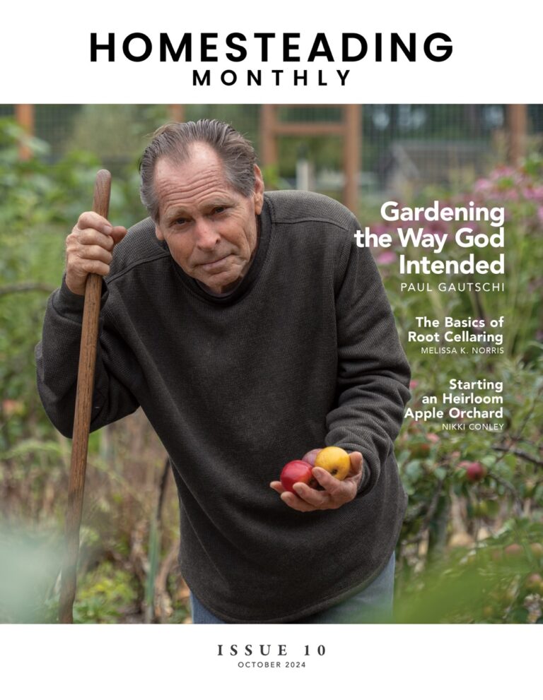 Issue 10: Homesteading Monthly — October 2024 - Homestead Living