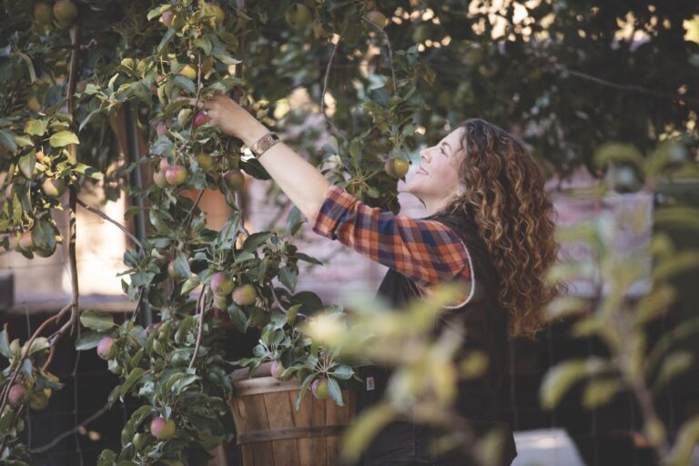 Homestead Orchards: Planting Trees for Food Security and Legacy