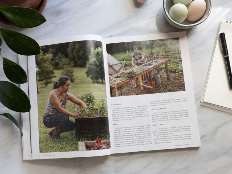 Collector's Edition 003 - Generational Wisdom - Homestead Living