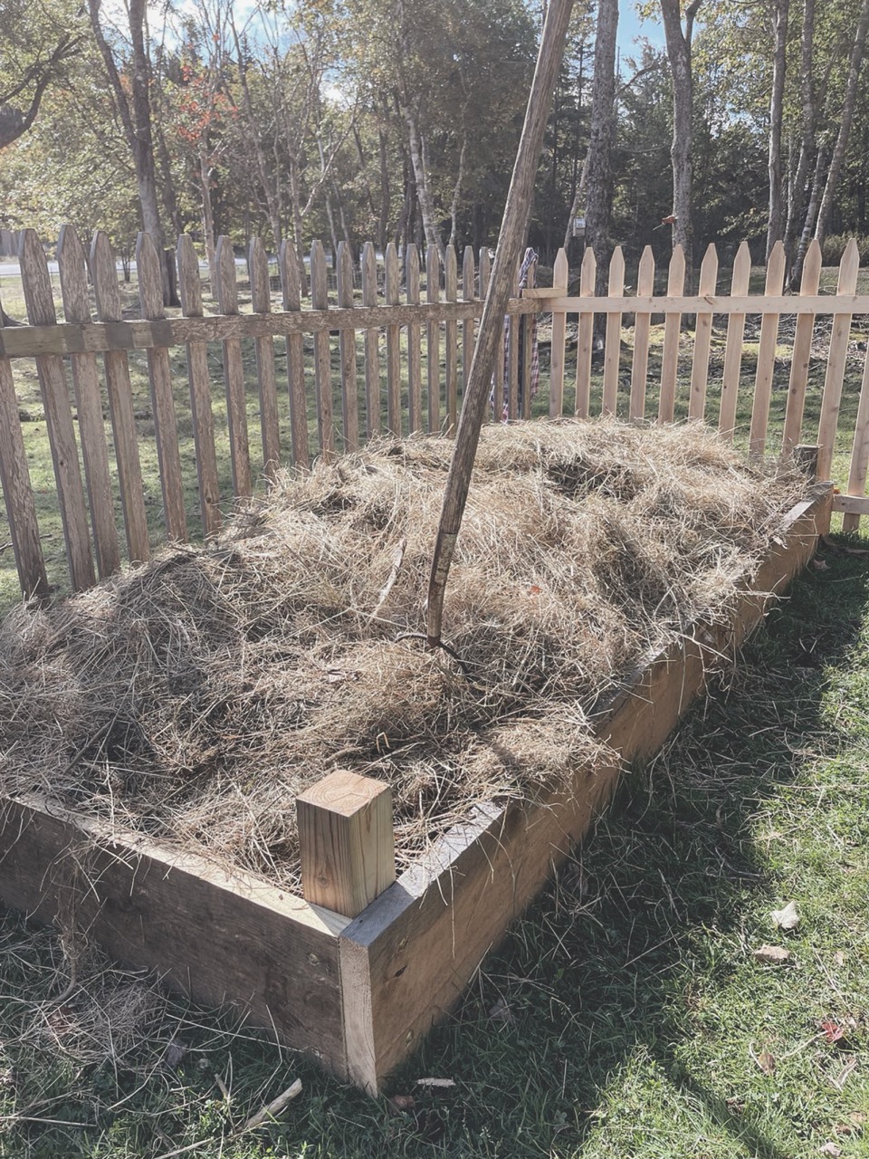 Hügelkultur Guide: How to Build and Plant Raised Wood Beds