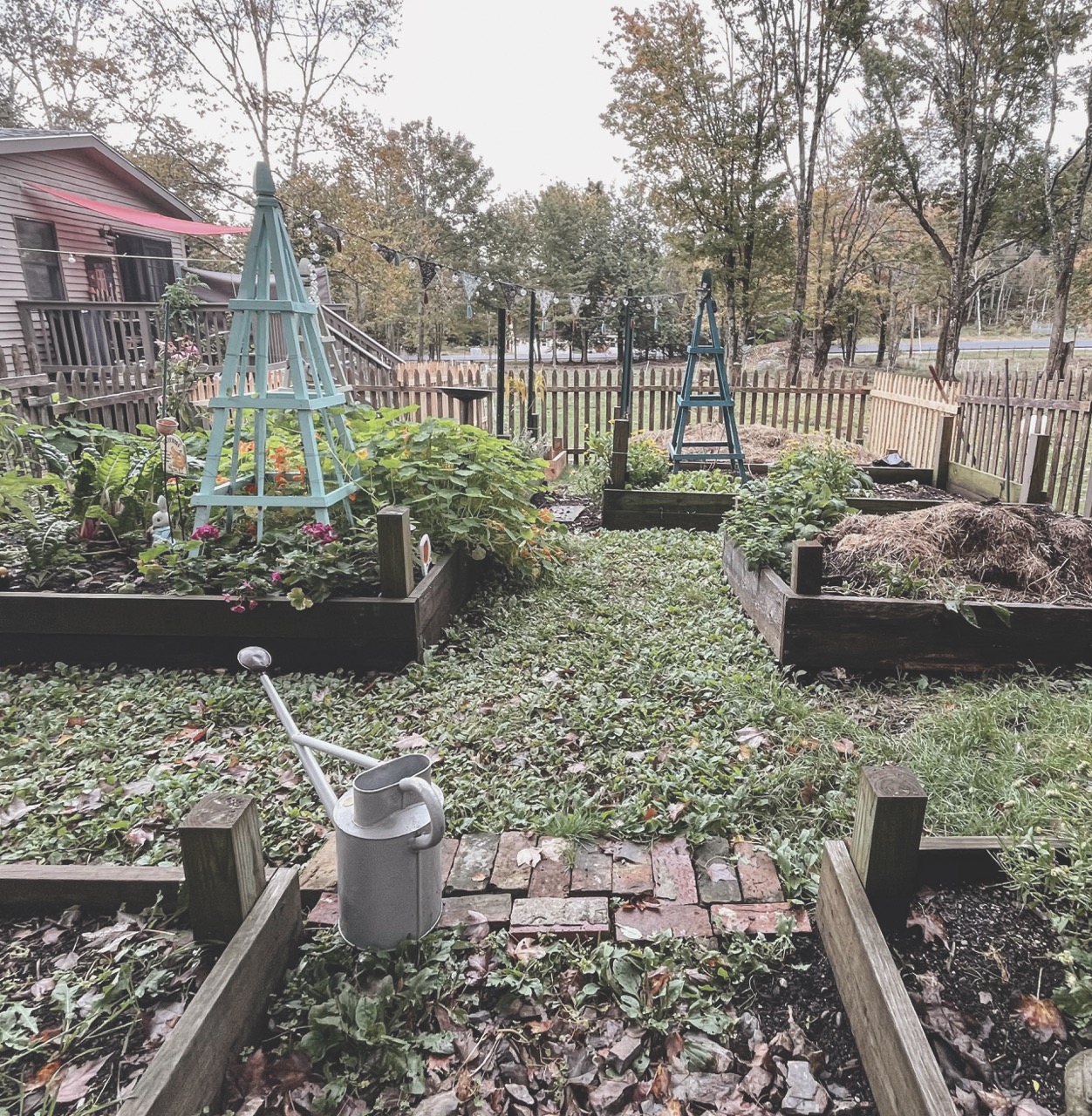 Hügelkultur Guide: How to Build and Plant Raised Wood Beds