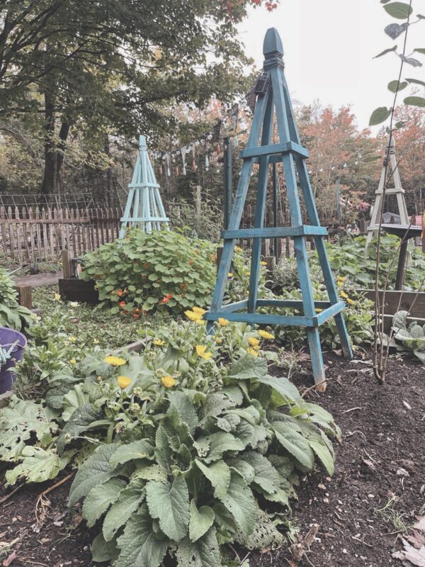 Hügelkultur Guide: How to Build and Plant Raised Wood Beds