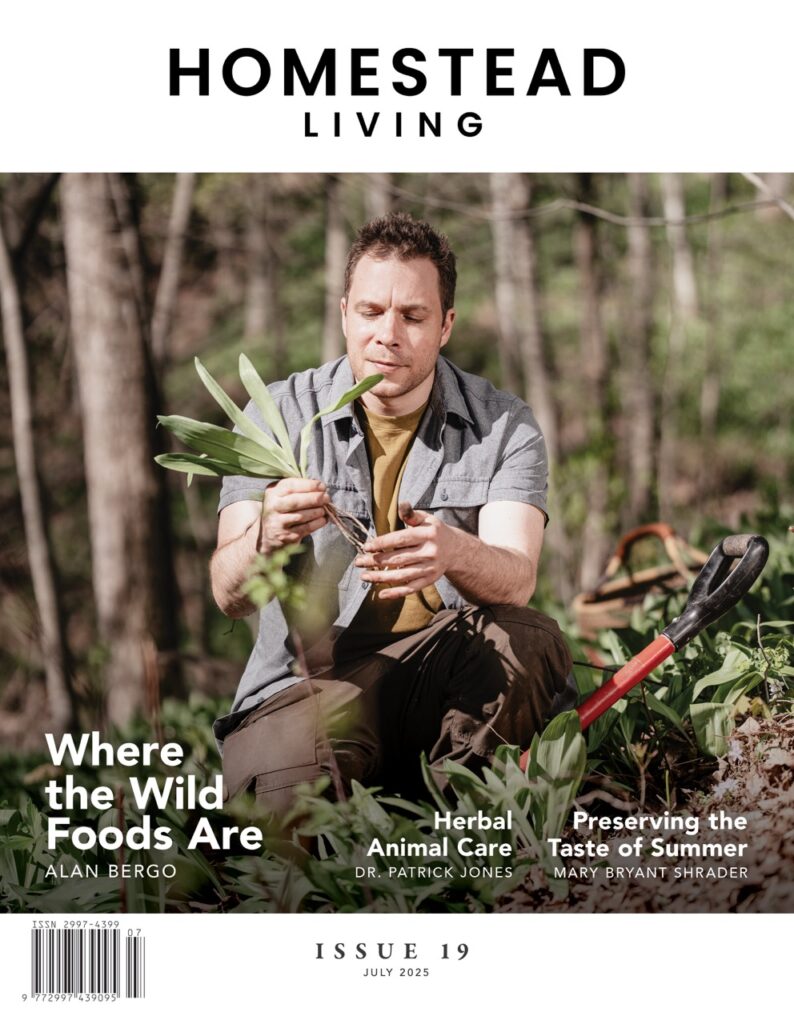 Issue 19: Homestead Living — July 2025 - Homestead Living