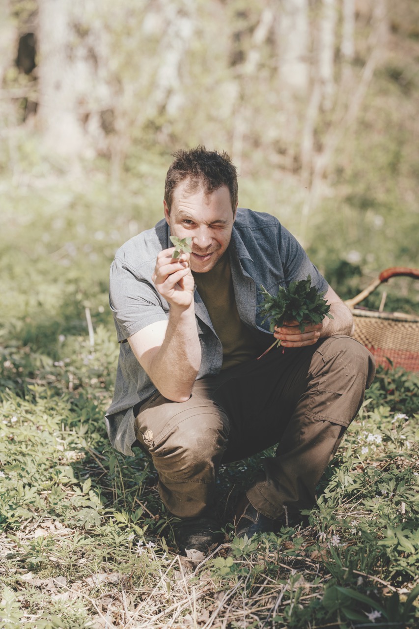 Where the Wild Foods Are - Homestead Living