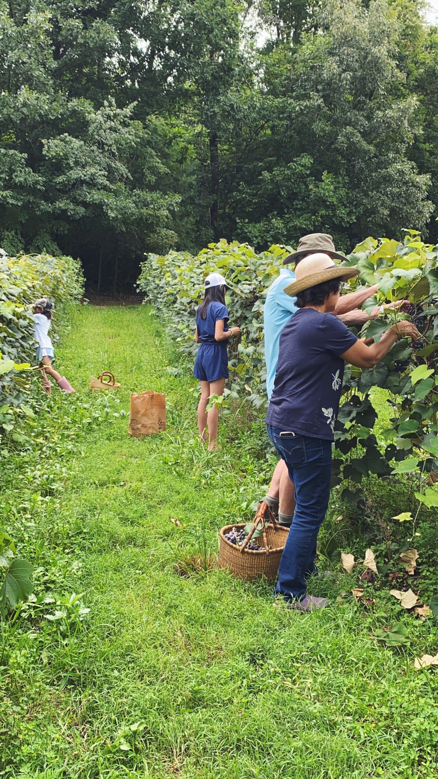 Nourishing the New Mother - Homestead Living